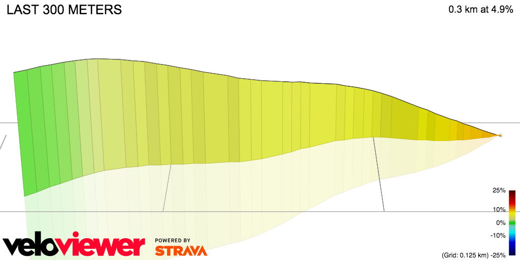 Segment Details for LAST 300 METERS - VeloViewer
